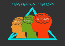 Memory Strategies – Ways to Achieve Academic Success