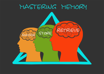 Memory Strategies – Ways to Achieve Academic Success